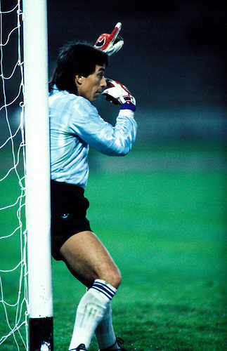 Partidos de la Roja: Roberto Rojas