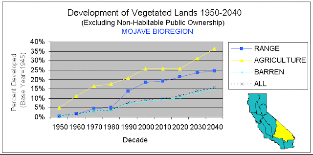 Mojave Desert Ecosystem