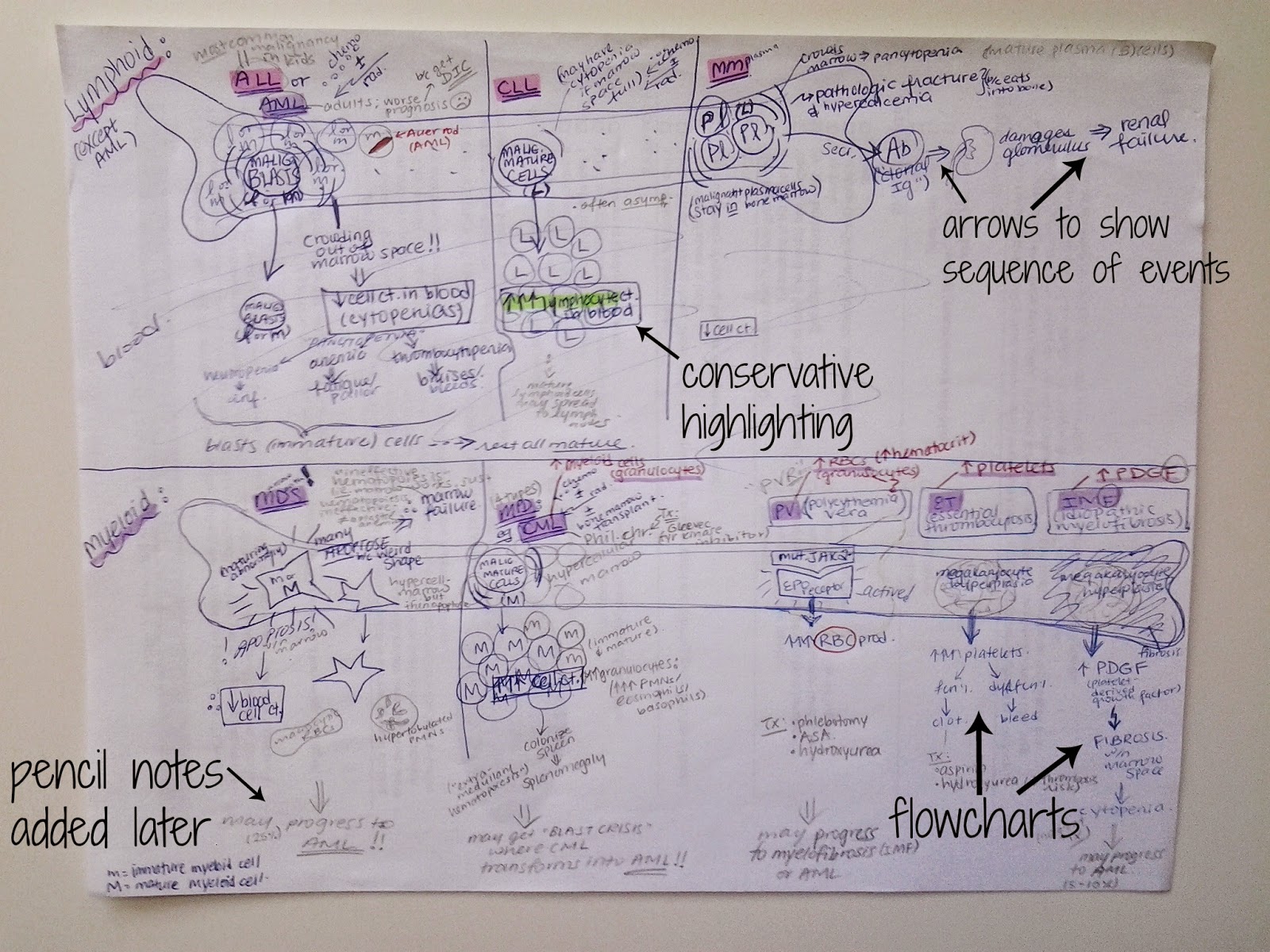 Winding Spiral Case: How To Study: Making Notes