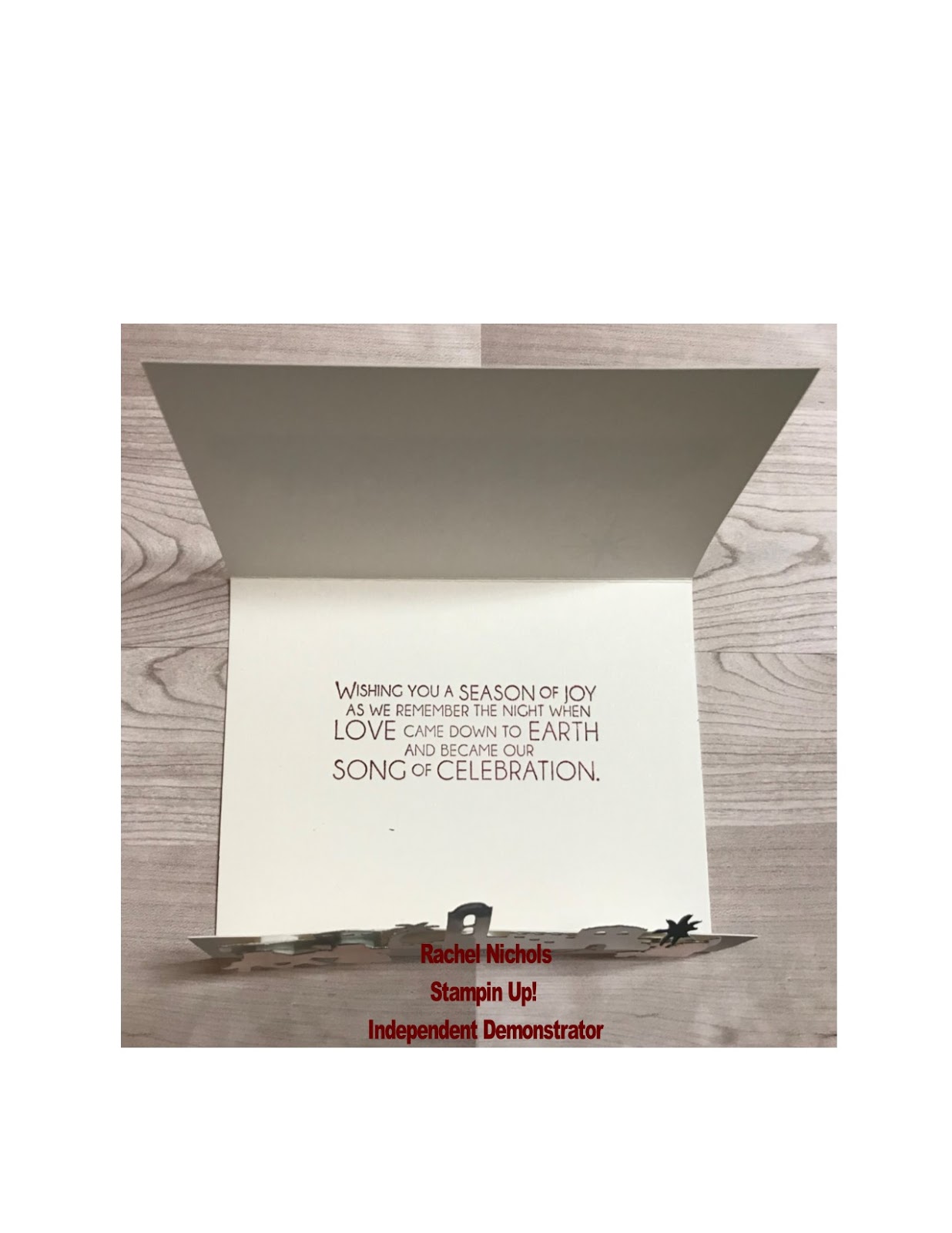 Stampin Up With Rachel!