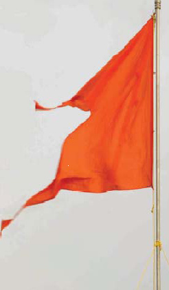 Facing the wrath of a great civilization.: The RSS