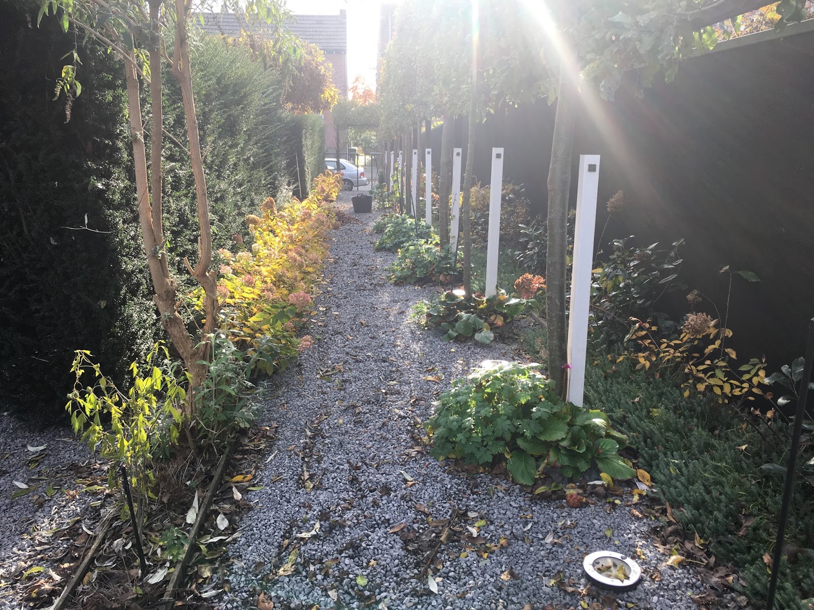 Potagerie in Maastricht: 17.11.2017 > Autumn........