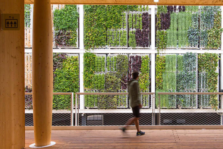 These Vertical Farms Turn Unused City Wall Space Into Gardens That Grow ...