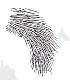 Studio Lukisan Cah: UNSUR-UNSUR SENI