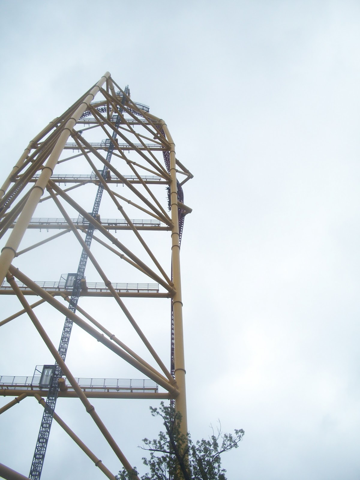 Pams Party & Practical Tips: Why Cedar Point Rocks!