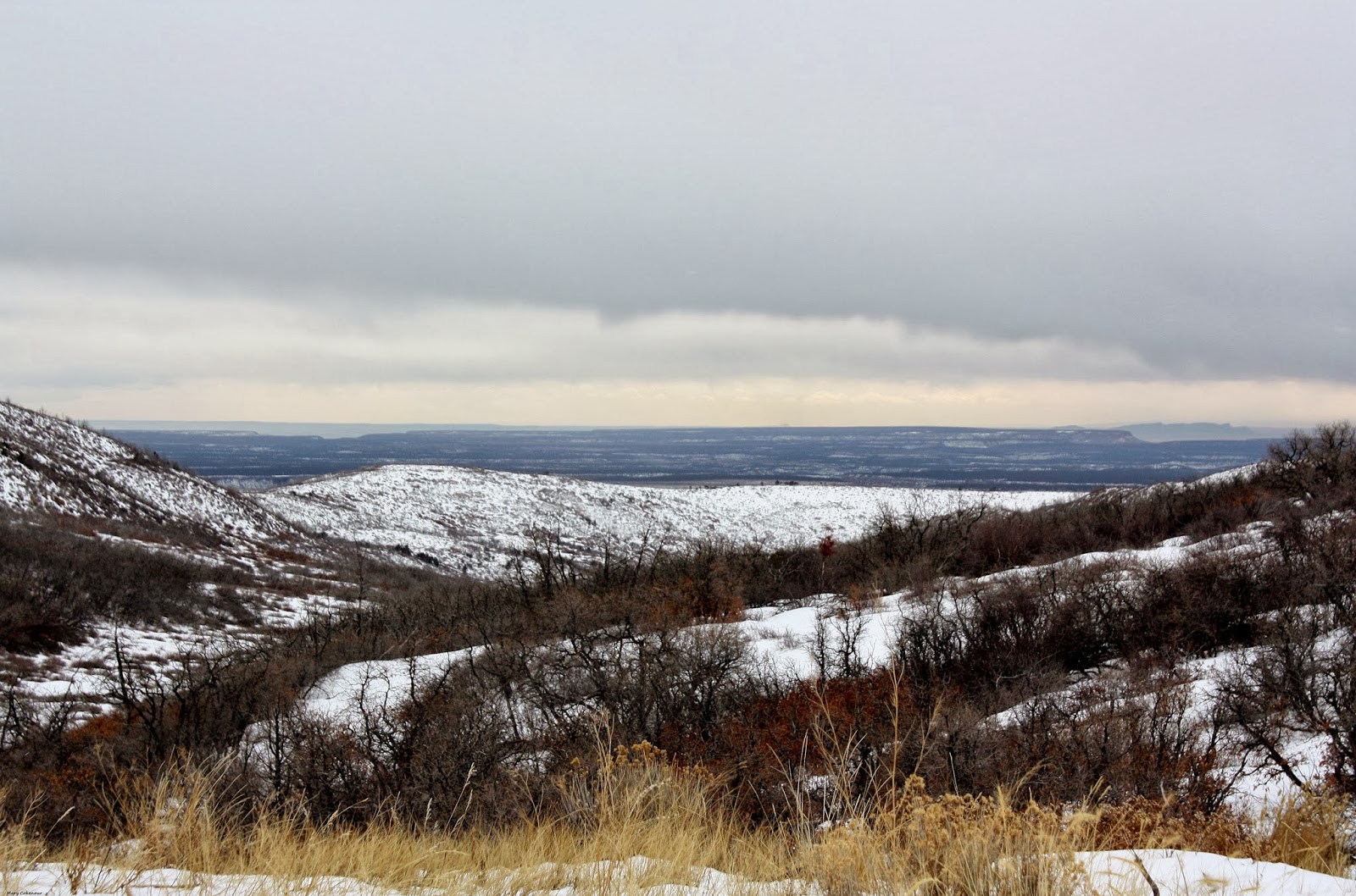 The Southwest Through Wide Brown Eyes: The Mystery of Mesa Verde's Winter.