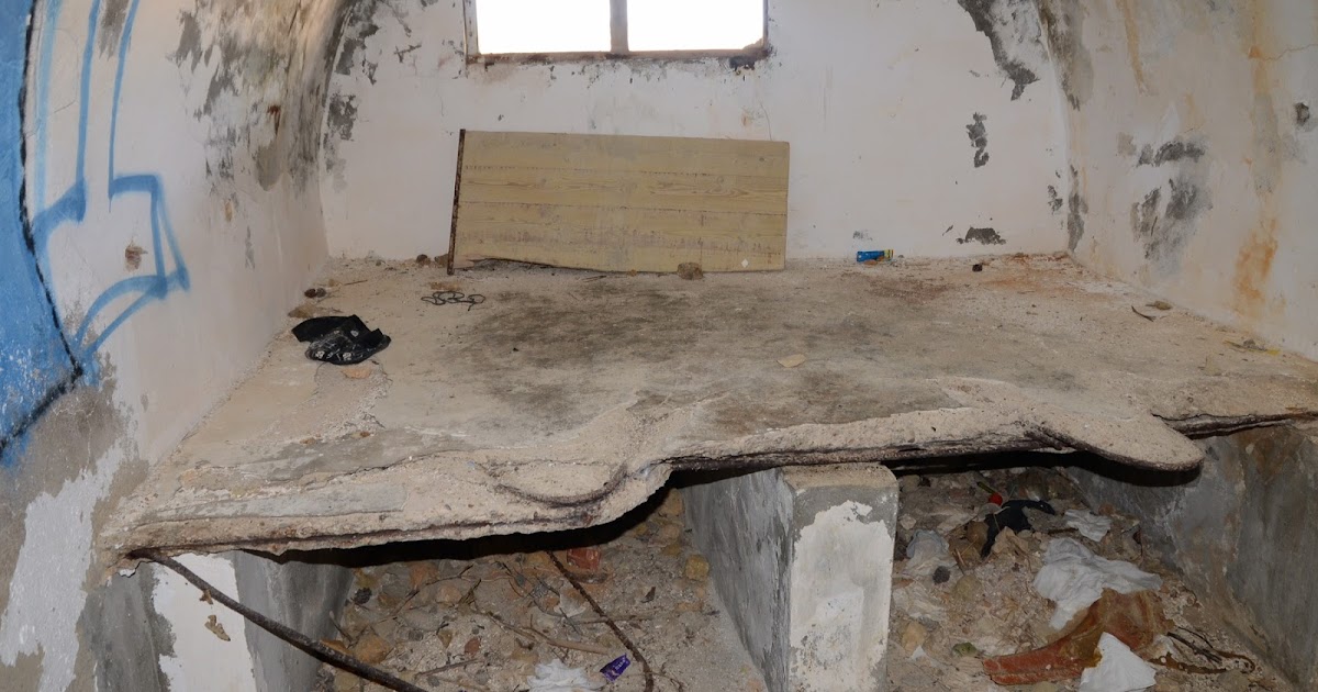 ARCA: ARCA i GEFB denúncien el mal estat de conservació del Niu d ...