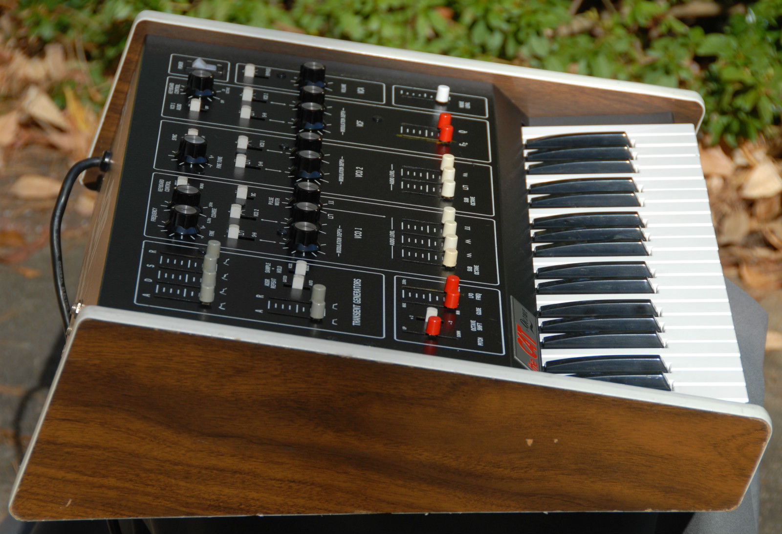 MATRIXSYNTH: Octave-Plateau The Cat -1853- Vintage Analog Synthesizer