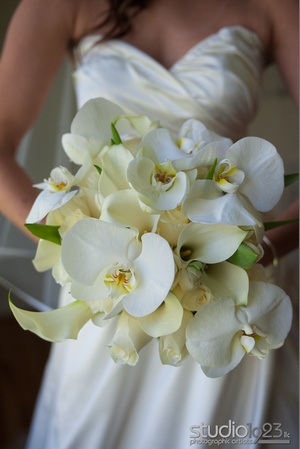 Azalea Floral Design - Unique Flowers for CT Weddings and Events