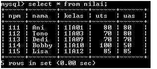Membuat Database Dengan Perintah DDL dan DML Menggunakan XAMPP