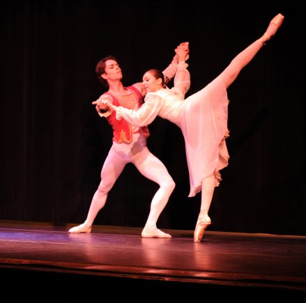 Badass Teachers Association Blog: How Can the Ballet ARM Us? by Mrs. X ...