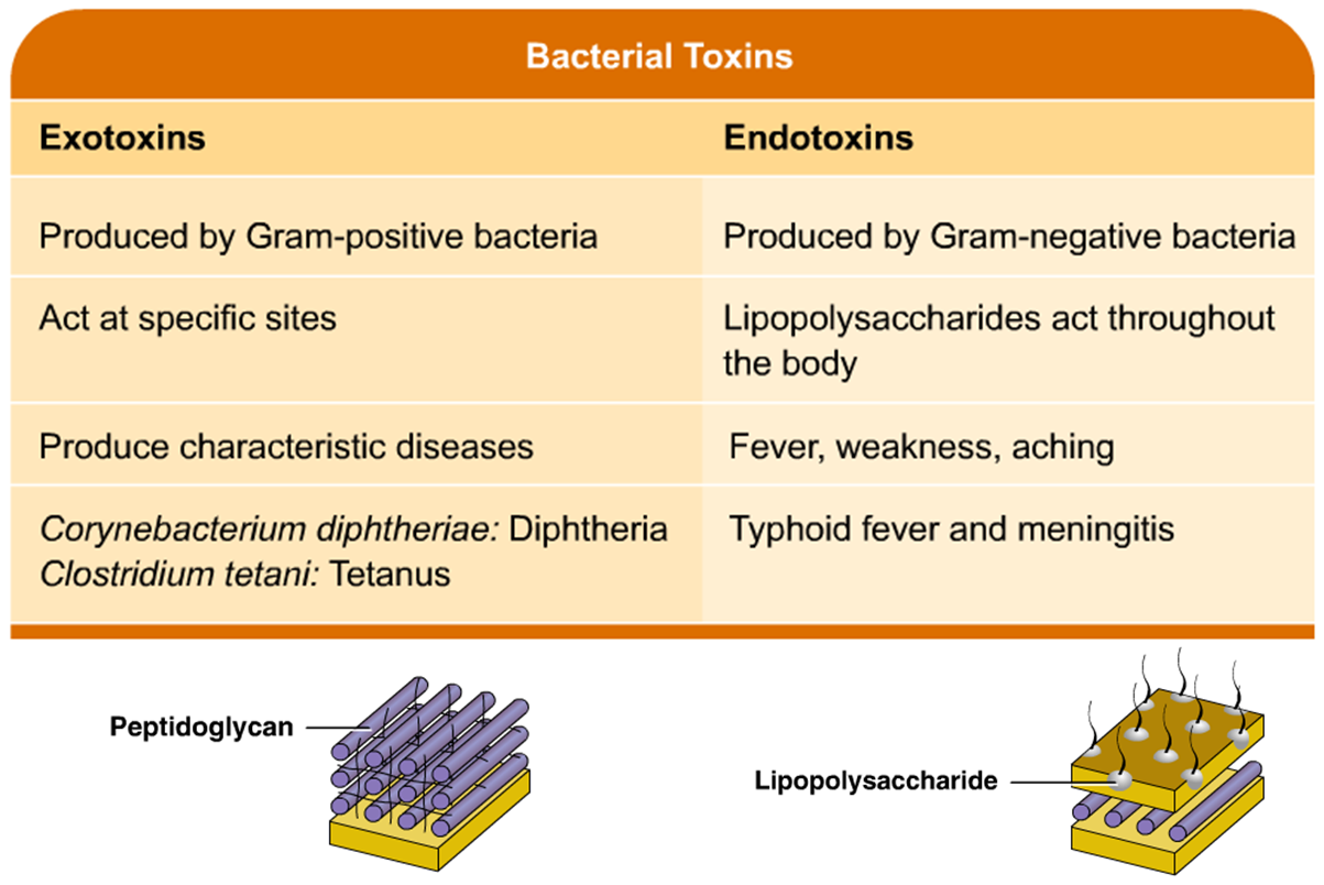 Pathogenic Action ~ Zero-Infections
