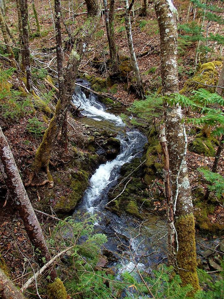 WATERFALLS OF NOVA SCOTIA