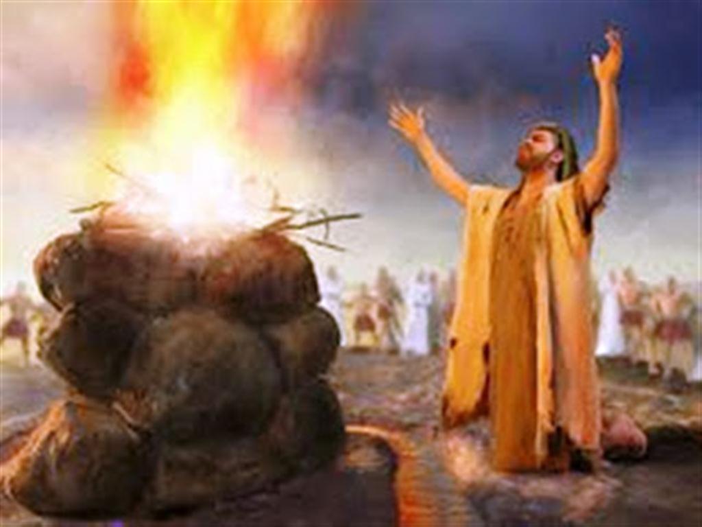 LA BIBLIA DICE: Cuando alguno de entre vosotros ofrece ofrenda a Jehová ...