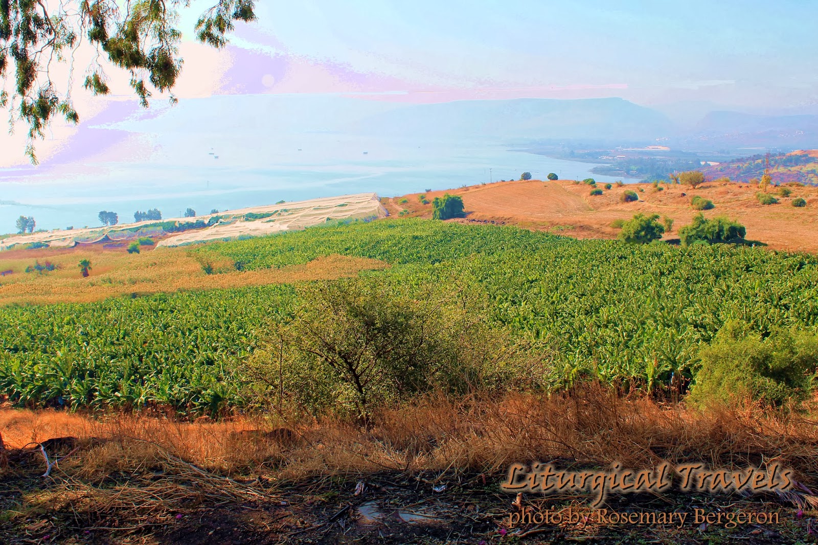 Liturgical Travels: Holy Mass on the Mount of Beatitudes