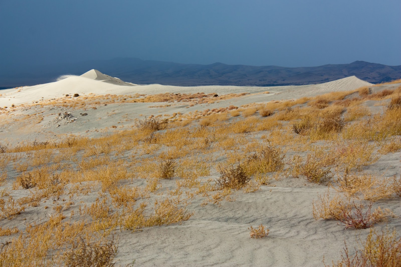 Hiking Shenandoah: Hanford White Bluffs- North Slope