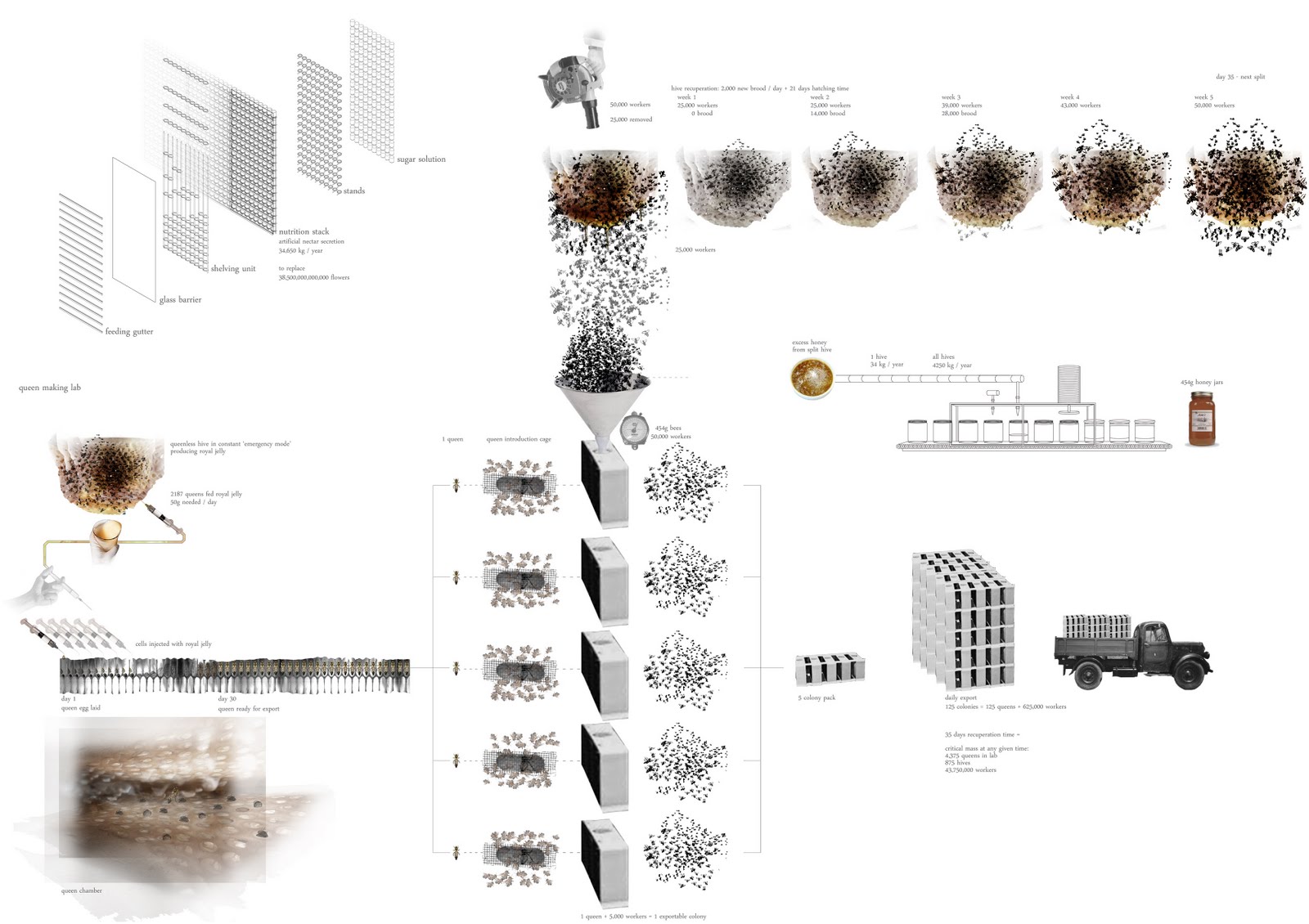 Sleepwalking Through Architecture: Nottingham Apiaries