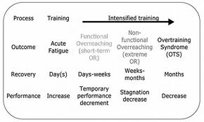 PROF. SÉRGIO NUNES - QUALIFIS - ATIVIDADE FÍSICA PERSONALIZADA ...