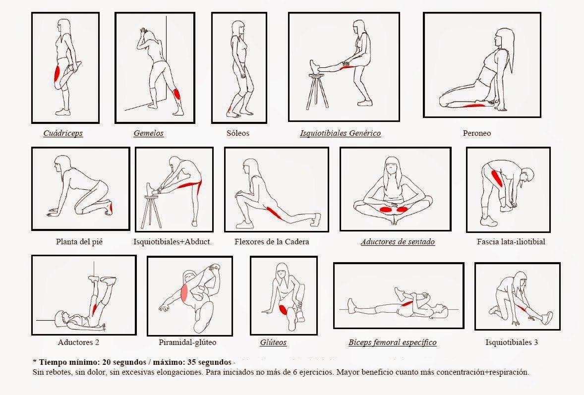 Gimnasia artística : Como hacer una elongación básica