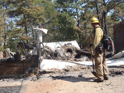 The Rogue Botanist: The Bastrop Complex Fire