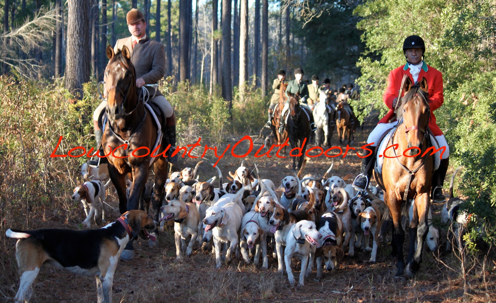 Lowcountry outdoors: 2013 Lowcountry Hunt - hunt weekend story