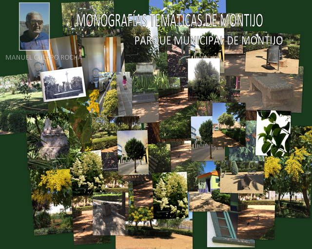 MONOGRAFÍAS TEMÁTICAS DE MONTIJO Y COMARCA DE LÁCARA: DOLMEN DEL MONJE