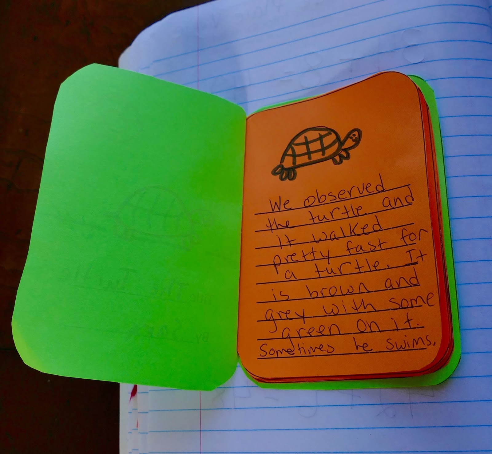 Teaching Science With Lynda Interactive Notebook Ideas For Science teaching-science-with-lynda-interactive-notebook-ideas-for-science