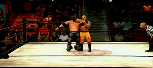 30 GIFS que te recordarán por qué amas la lucha libre