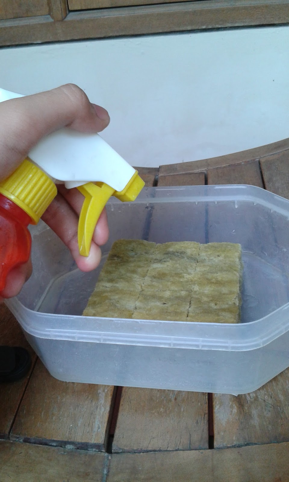 Cara buka blokir semprot - polmondo