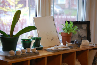 On Display: Acorn School | Transforming our Learning Environment into a ...