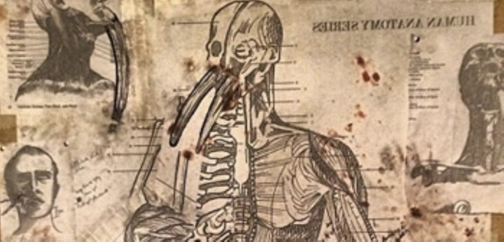 The TIFF Midnight Madness Blog: TUSK: Origin Story