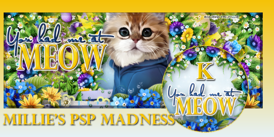 Millie's PSP Madness: SNAGGABLE TIMELINE SET FEATURING Hayden by ...