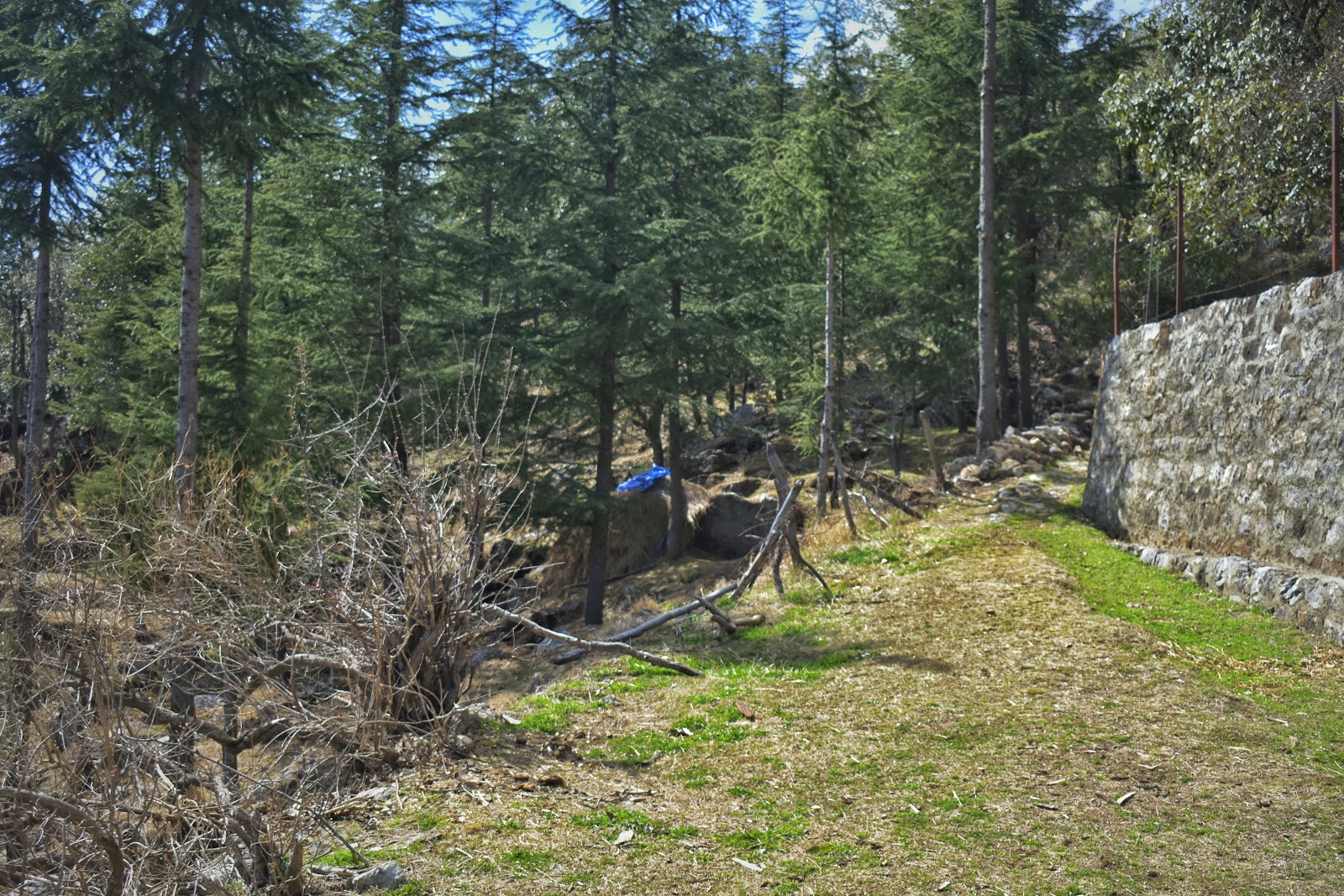 Karol Tibba Trek (Dhedghrat)