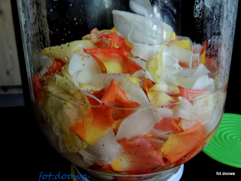 Rosolio - włoska nalewka różana - Moje Małe Czarowanie - Dorota ...