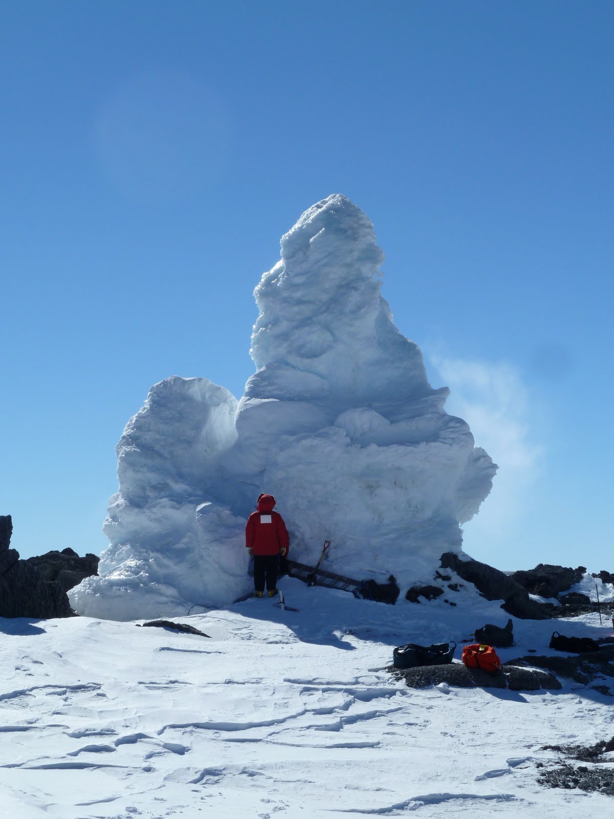 Antarctic Fungi Blog: Mt Erebus