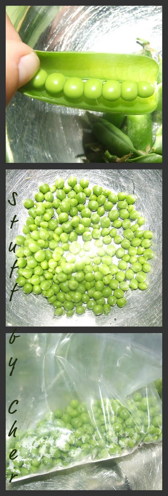 Stuff by Cher: How my garden grows - Visualize Whirled Peas