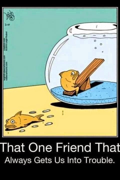 That one Friend that always gets us into trouble ~ Joke All You Can