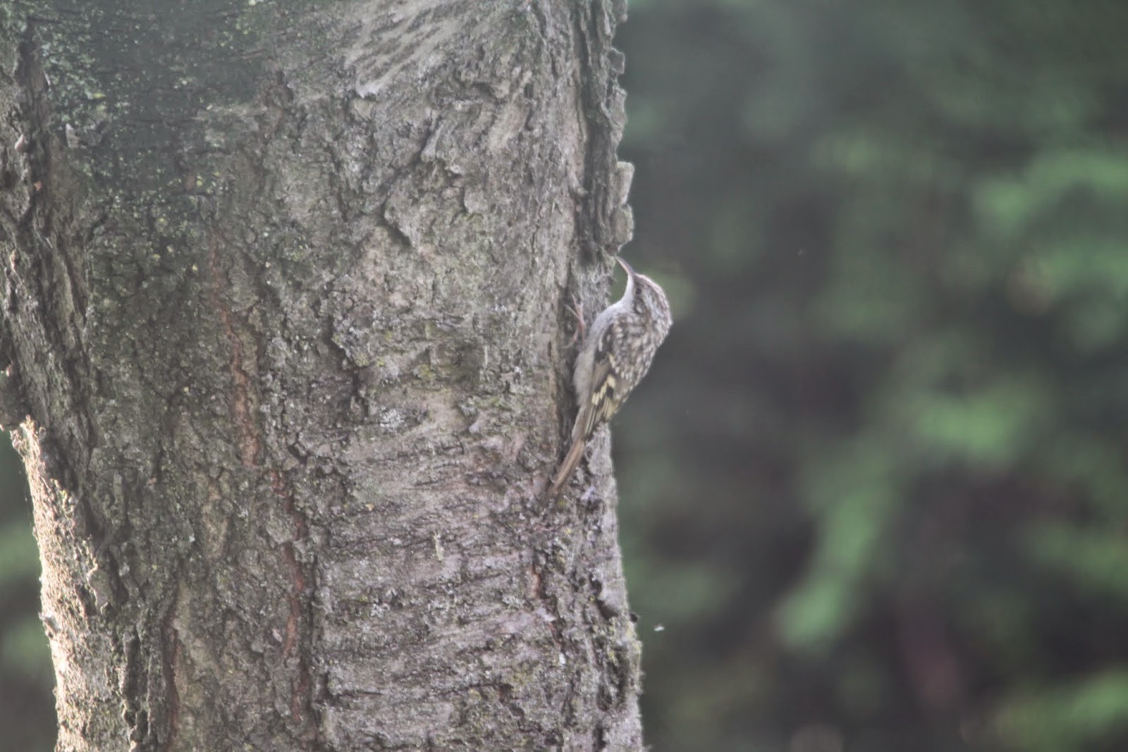 Natuur fotografie van Kimberly de Pater