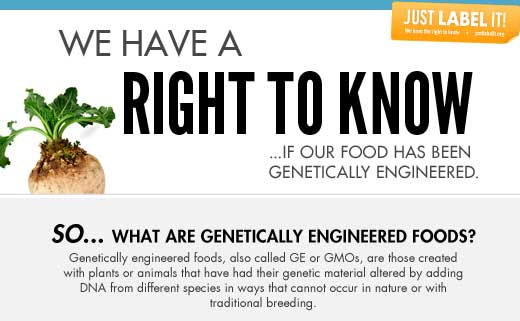 Vitamin untuk Extra Sihat!: GMO - GENETICALLY MODIFIED ORGANISM