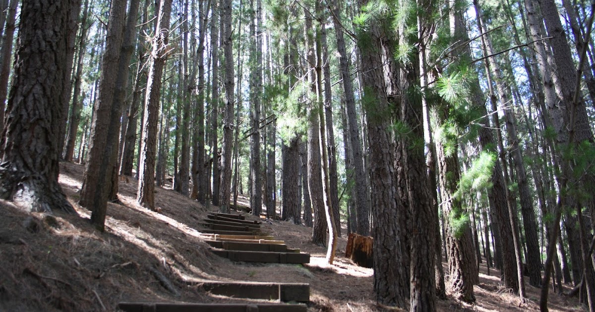 RDO Melbourne: Mt Franklin, Hepburn Regional Park