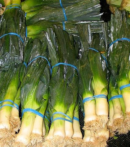 Dug Dehydrated: How to Dehydrate Leeks