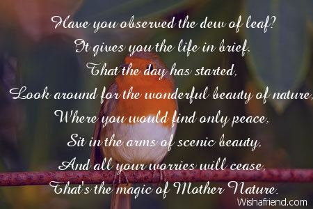 Learning-Living [learning-living.com]: LIFE LESSONS FROM NATURE