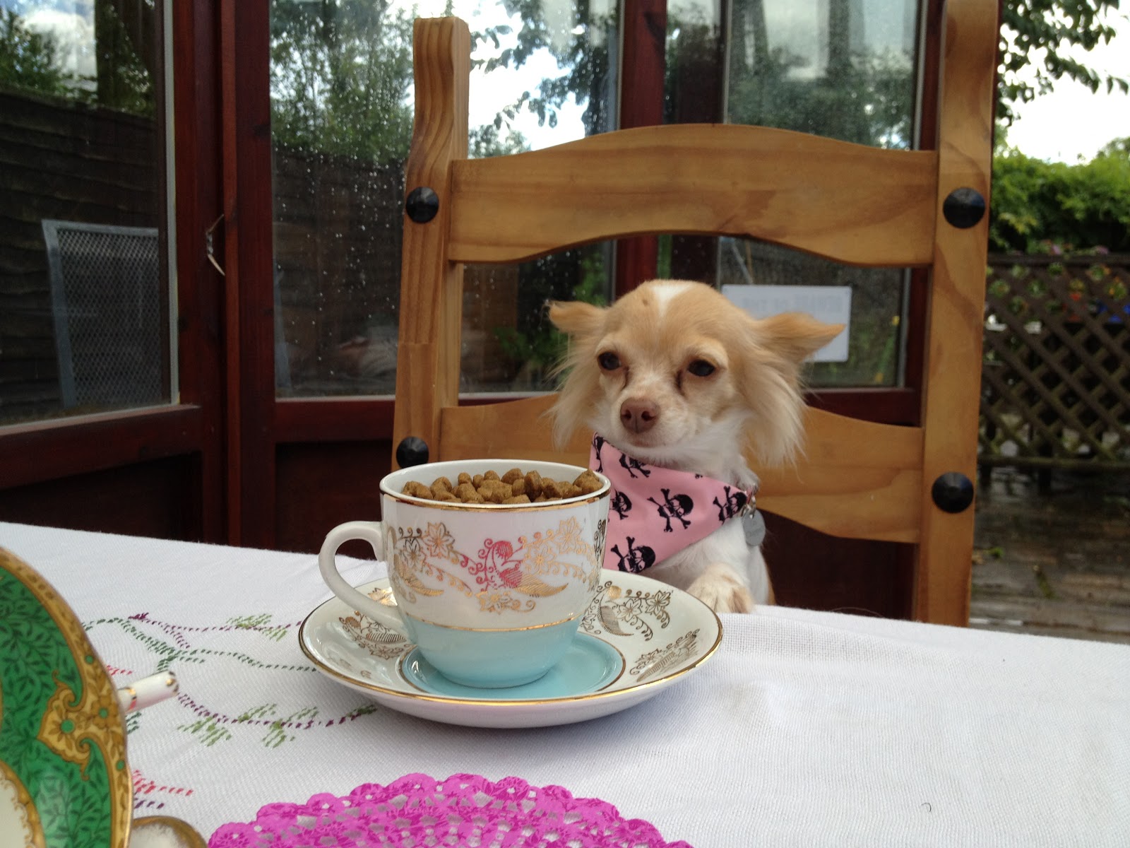 Poodles and Pompadours: Tea Parties for Dogs with Juicy Occasions