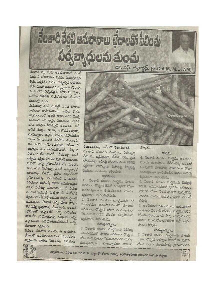 AYURVEDAM - ఆయుర్వేదం: NELA THADI CHETTU - AYURVEDAM