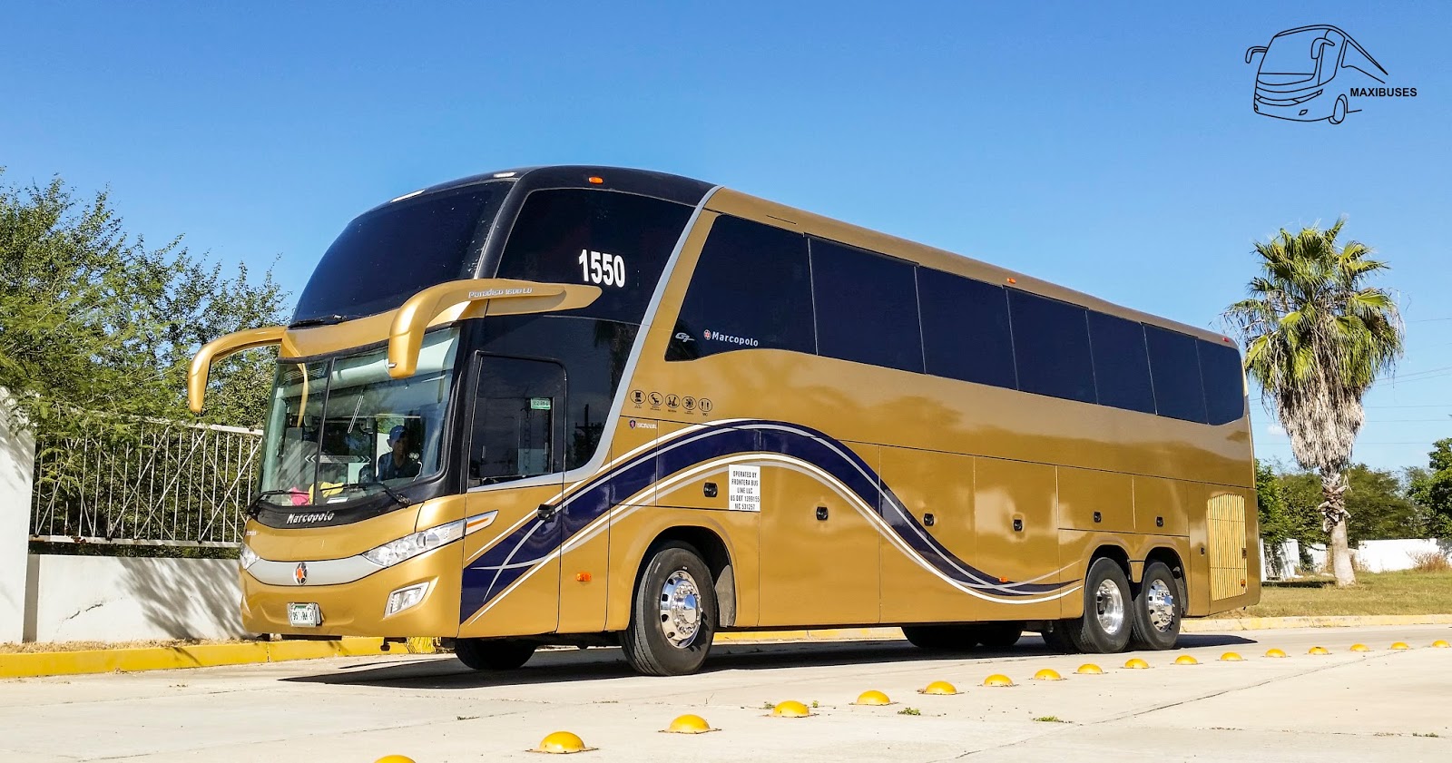 MAXIBUSES: AUTOBUS TURÍSTICO (TURISMO)