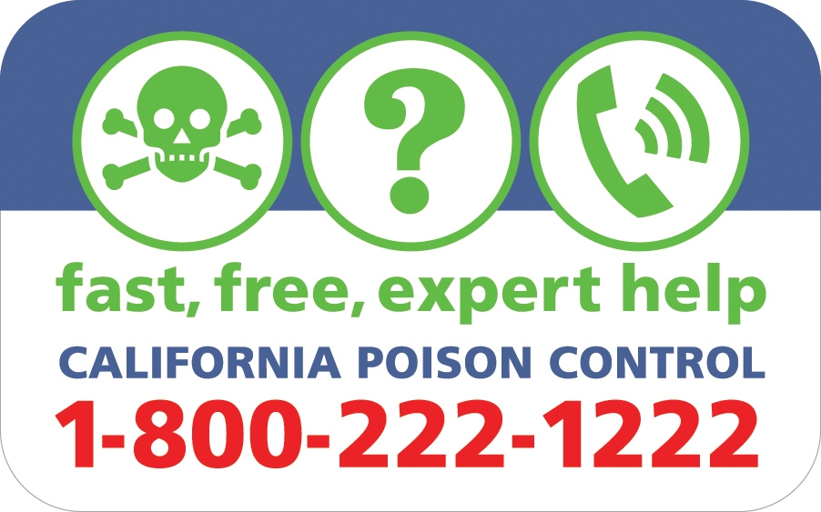 California Poison Control Offers Tips about Spider Bites - Dad of Divas