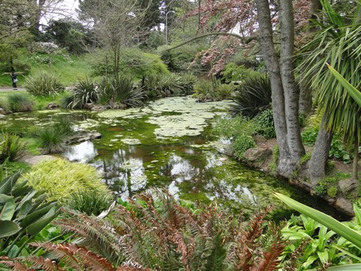 Diana Forman-Friedman: San Francisco, our last day