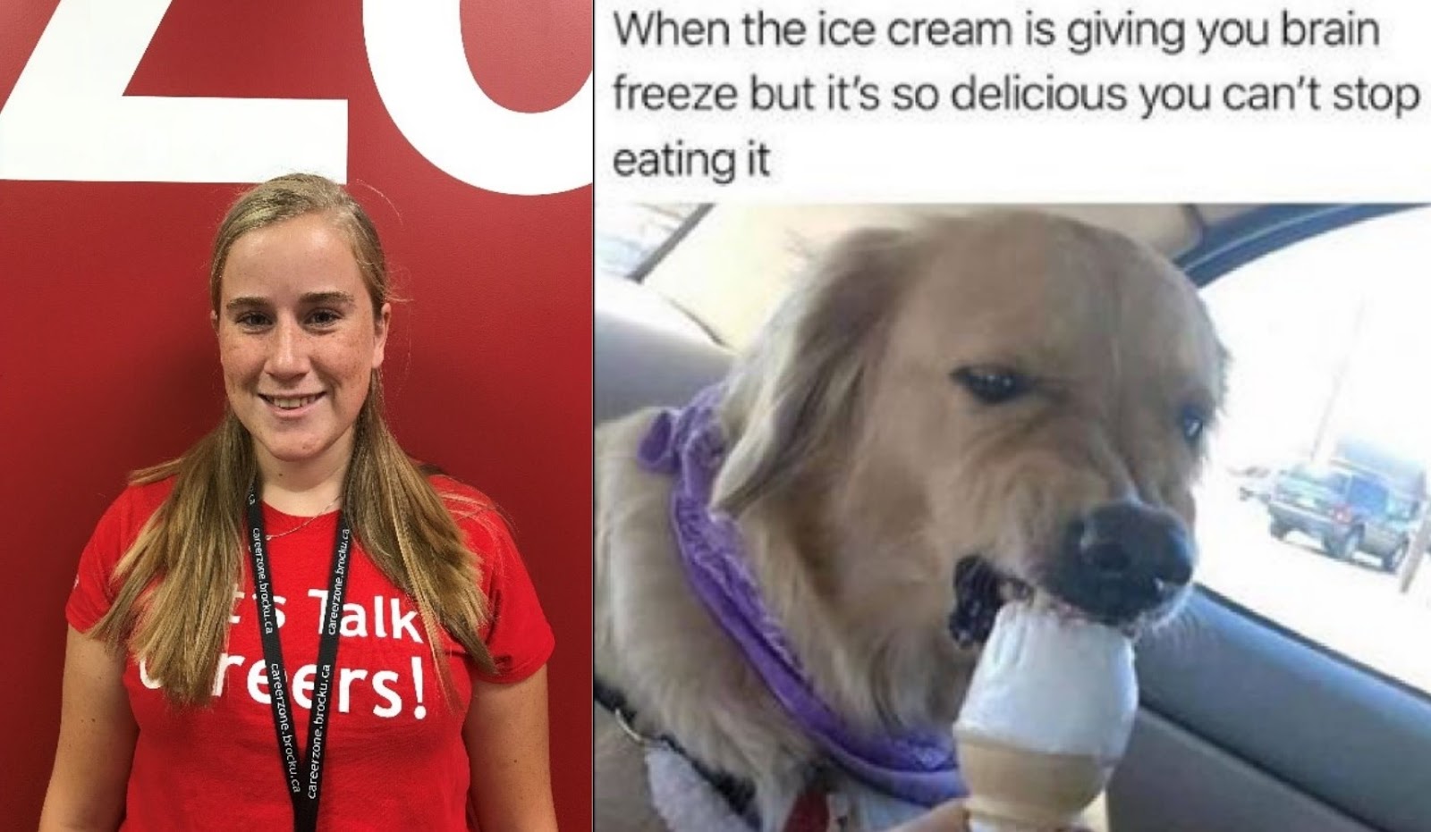 Brock CareerZone Blog: September 2018