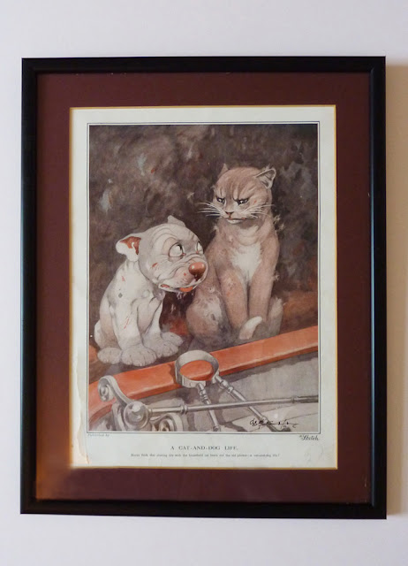 maison dog: Bonzo - Studdy Dogs Portfolio