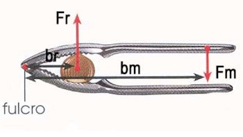 L'energia meccanica: le leve